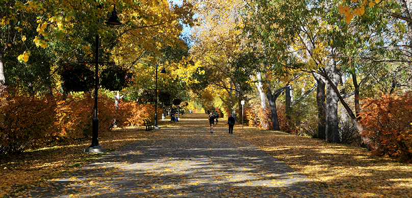October Updates | School Photos, Halloween - Guy Weadick School