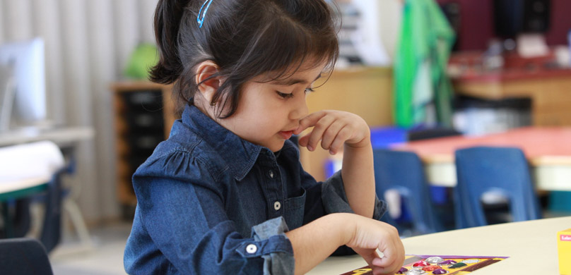 Assessment & Reporting - Guy Weadick School